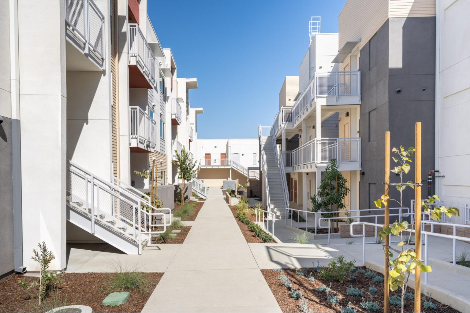 Celebrating the Completion of The Olive Apartment Homes - McCarthy ...